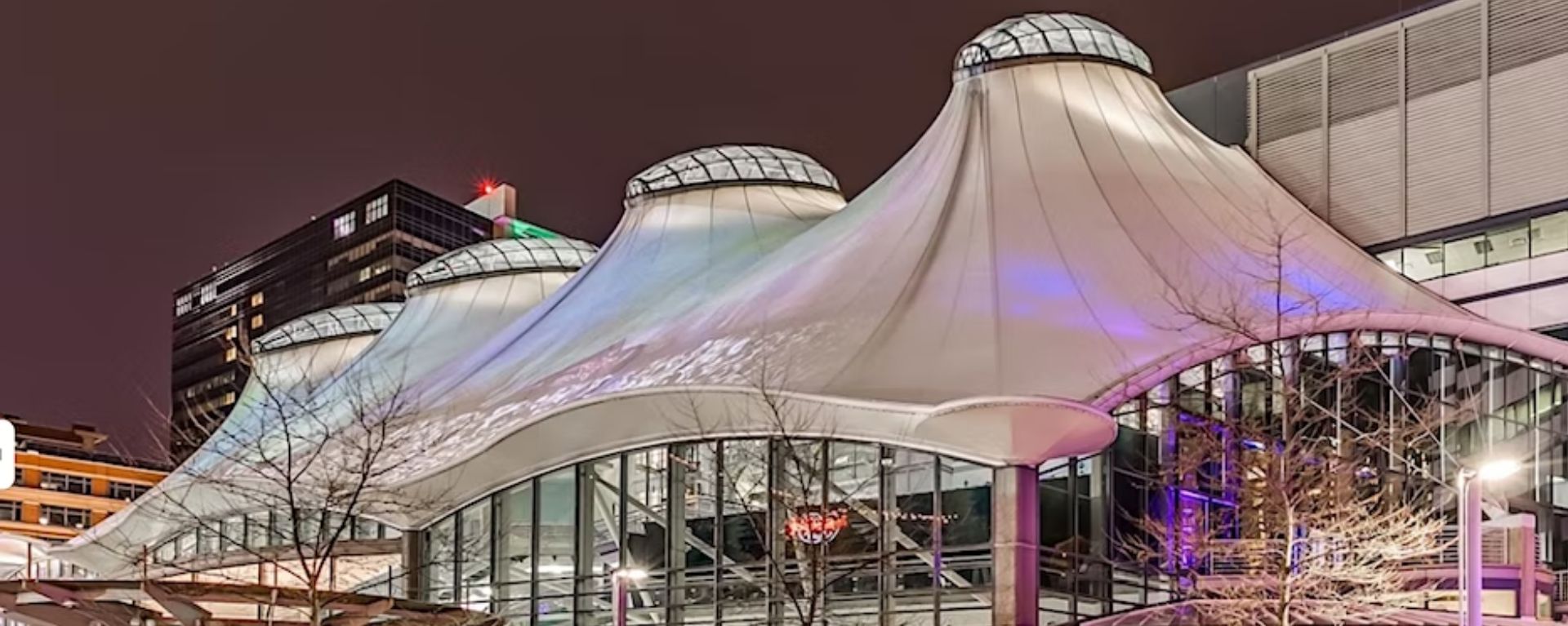 Tinina Q. Cade Foundation